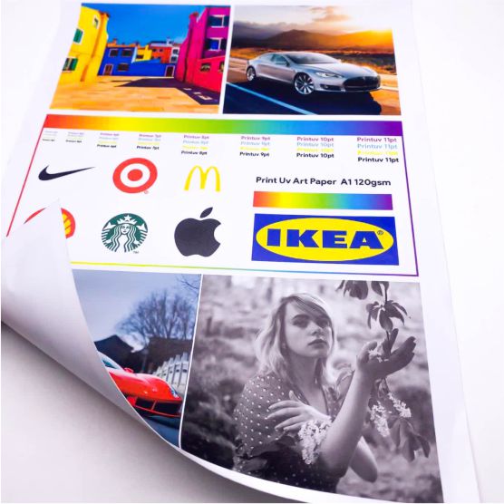 Print UV Poster Art Paper A1 120 Gsm