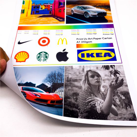 Print UV Poster Art Paper Carton A1 310 Gsm